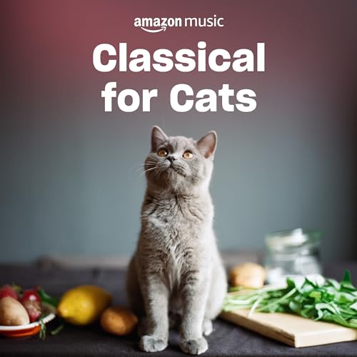 Classical for Cats Playlist on Amazon Music Unlimited