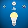 Buy PHILIPS 18-watt LED Bulb | AceBright High Wattage LED Bulb | Base ...