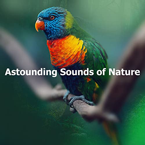 Amazon.com: Astounding Sounds of Nature : Swedish-Bird-Sounds: Digital ...