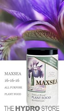 Amazon.com : Maxsea Grow 16-16-16 1.5 Lbs. Water Soluble Seaweed Plant ...