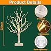 Amazon.com: EAMBRITE Birch Tree with Led Lights, White Christmas Tree ...