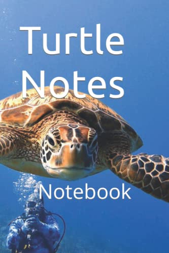 Turtle Pflanze – Die 15 besten Produkte im Vergleich & Angebote ...