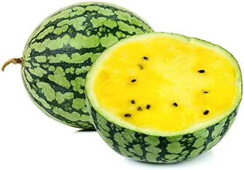 PREMIER SEEDS DIRECT WATERMELON PETITE YELLOW 60 SEEDS : Amazon.co.uk ...