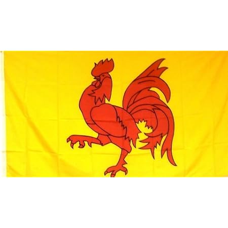 Amazon.com : Walloon Flag of Wallonia, 3'x5' : Outdoor Flags : Patio ...