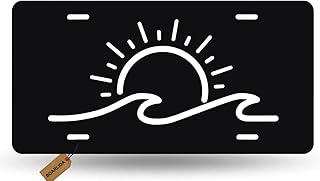 Understanding Standard Car License Plate Sizes And Dimensions | ShunAuto