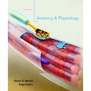 Anatomy & Physiology By Elaine N. Marieb (4th): J.K: Amazon.com: Books