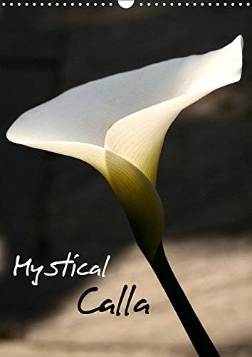 Buy Mystical Calla 2019: Portraits of beautiful callas (Calvendo Nature ...