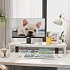 YAOHUOO Dual Monitor Stand Riser, 39Inch Large Monitor Stands for 2 ...