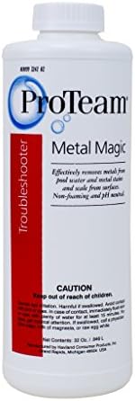 Amazon.com : ProTeam Spa Metal Magic (1 qt) : Patio, Lawn & Garden