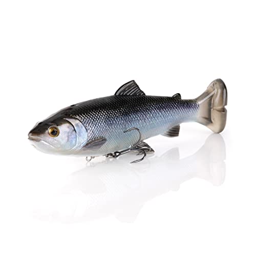 Savage Gear Ratte – Die 15 besten Produkte im Vergleich - Die besten ...