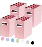 Amazon.com : Oterri File Organizer, 2 Packs Small Storage Box ...