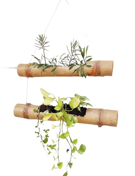 Lohith Bamboo Products Bamboo Hanging Planters - Bamboo Stand -Bamboo ...