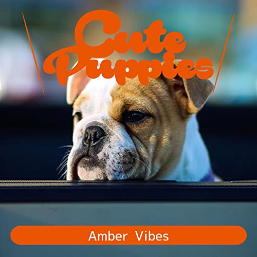 Écouter Amber Vibes par Cute Puppies sur Amazon Music Unlimited