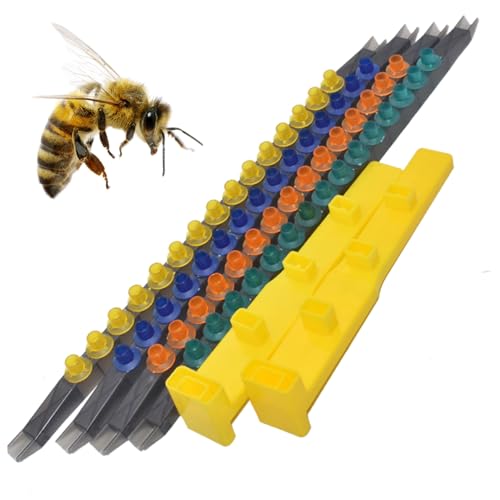 Devon new bee here | Page 3 | Beekeeping & Apiculture Forum