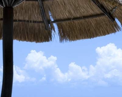 Mayan Riviera: Robert Walthall: Amazon.com: Books