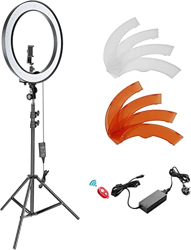 Shiatsu Shane's Amazon page