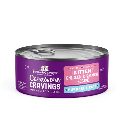 Chewy Cat Supplies – The 15 best products compared - Wild Explained