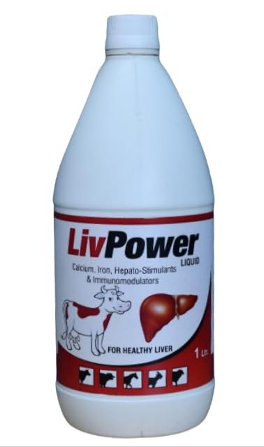 Liv Power 1ltr Herbal Liver Tonic with Liver Extracter Fortified with ...
