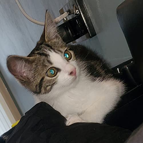 Amazon Music Unlimited - Matt Elliston 『Broken Down』