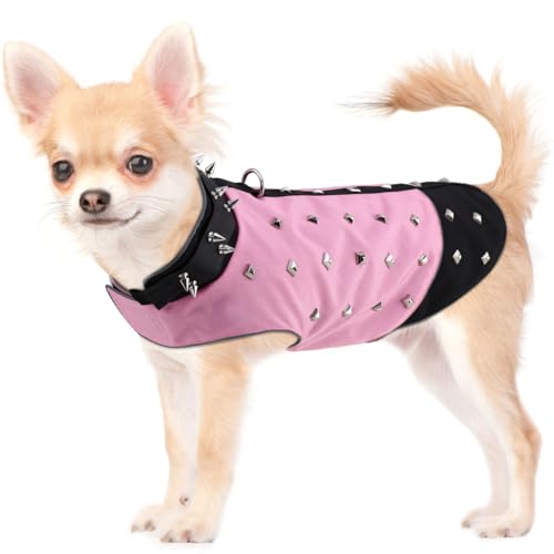 Dog Spike Vest – The 15 best products compared - Wild Explained