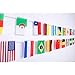 Amazon.com: World Flags,International Flags,100 Countries Pennant ...
