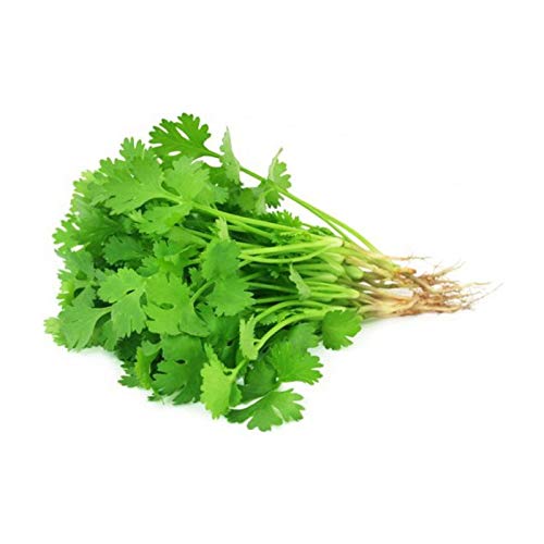 Creative Farmer Vegetable Seeds Kothambari Seeds - Coriander Seeds ...