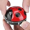 Amazon.com: Ladybug Cooking Timer, Mechanical Clockwork 60-Minute Timer ...