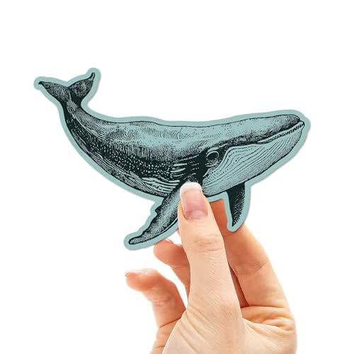 Amazon.com: Humpback Whale Sticker - Marine Wildlife Sticker for ...