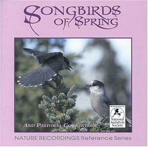 Songbirds of Spring: Nature Recordings: Amazon.ca: Music