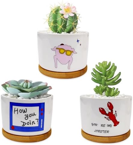 Amazon.com : 3 Piece Plant Pots,Funny Merchandis TV Show Gifts,TV Show ...