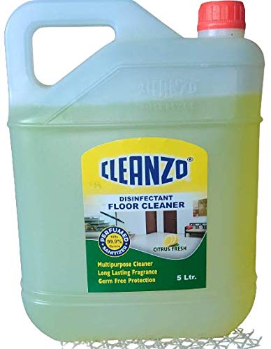 Cleanzo Surface Sanitizer Citrus : Amazon.in: Health & Personal Care