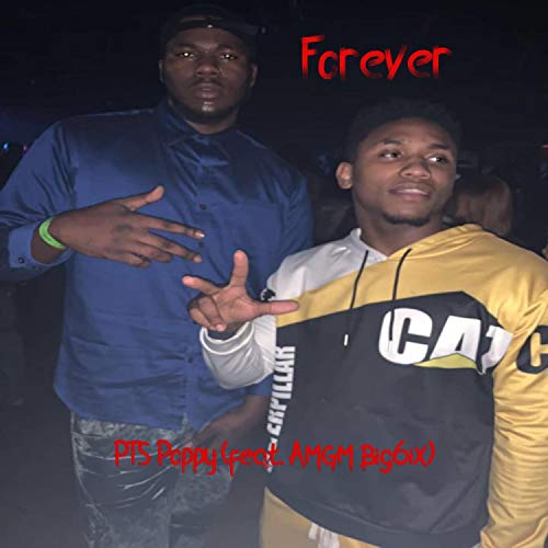 Play Forever (feat. Amgm Big6ix) by PTS Poppy on Amazon Music