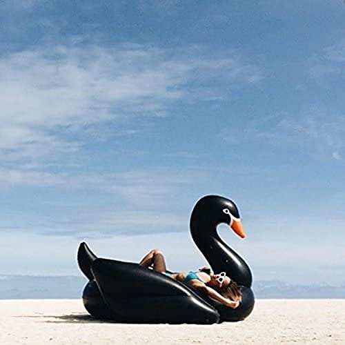 Top 10 Best Swan Float For Pool : Reviews & Buying Guide - Katynel