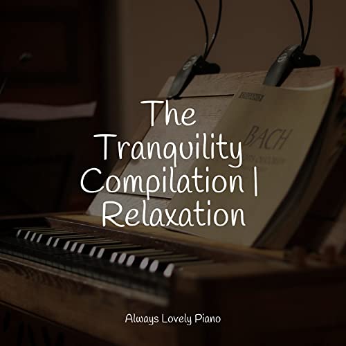 Amazon.com: The Tranquility Compilation | Relaxation : Peaceful Piano ...