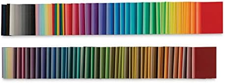 Amazon.com: Color-aid Paper Packet - 2" x 3", Assorted, Pkg of 314