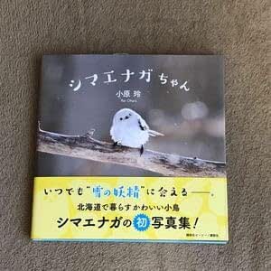 Amazon.co.jp: Shimaenaga-chan Photo Collection Rei Ohara Unread : Home ...