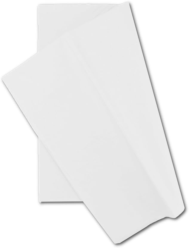 Amazon.com: Carnival Papers Wet Strength White Tissue Paper 60 Sheets ...