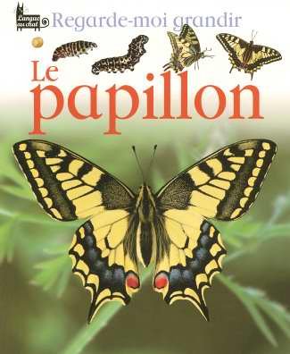 Le papillon | Amazon.com.br