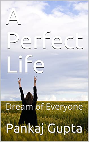A Perfect Life: Dream of Everyone (Your Life is Your Life) eBook ...