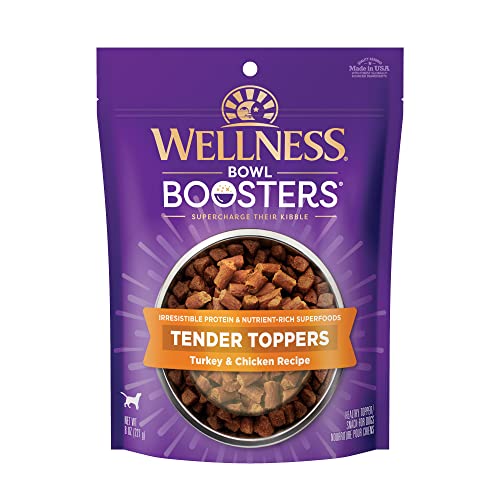Top 10 Dog Food Mixers: A Buying Guide for Healthier, Happier Pups ...