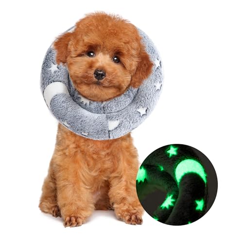 Dog Soft Cone – Die 15 besten Produkte im Vergleich – Wild erklärt