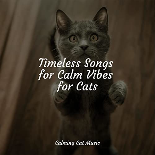 Écouter Timeless Songs for Calm Vibes for Cats par Music for Resting ...