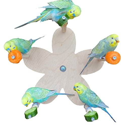 Amazon.com: Ferris Wheel Toy for Birds with 5 Food Holder Perches : Pet ...