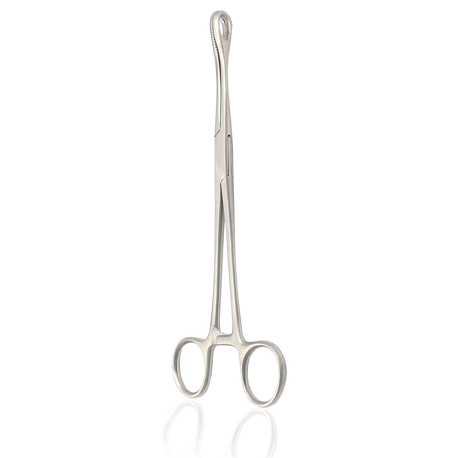 Snapklik.com : Body Piercing Forceps Kit Hemostat Sponge Clamp 7 ...