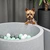 Petsona Foam Dogs Pool With Balls, Pets Soft Ball Pit, Dry Paddling ...