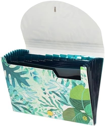 Amazon.com : CNK File Folders Organizer with 13 Pockets Accordion Expanding Folder Documents ...