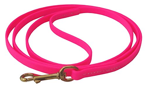 Pink 6-foot Dog Leash - Buy Online