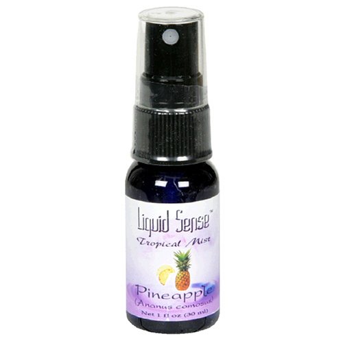 Amazon.com : Liquid Sense Culinary Flavors, Pineapple, 1-Ounce Bottles ...