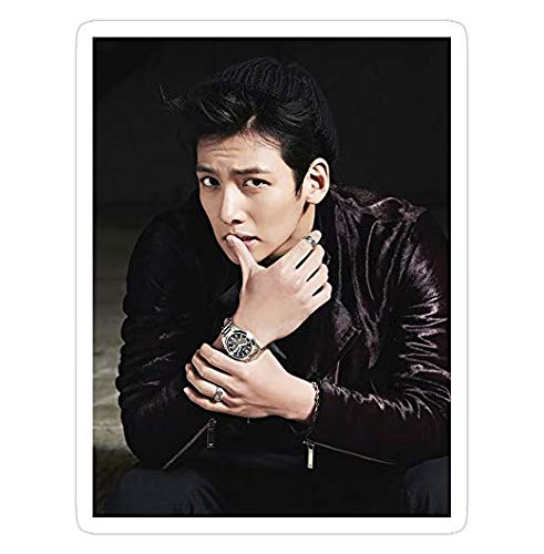 Buy Ji Chang Wook, ji Chang Wook Decal Sticker - Sticker Graphic - Auto ...