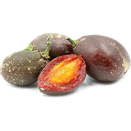 ARLO Dwarf Rare Syzygium zeylanicum" Poocha Pazham/Cat Eye fruit" Tasty ...